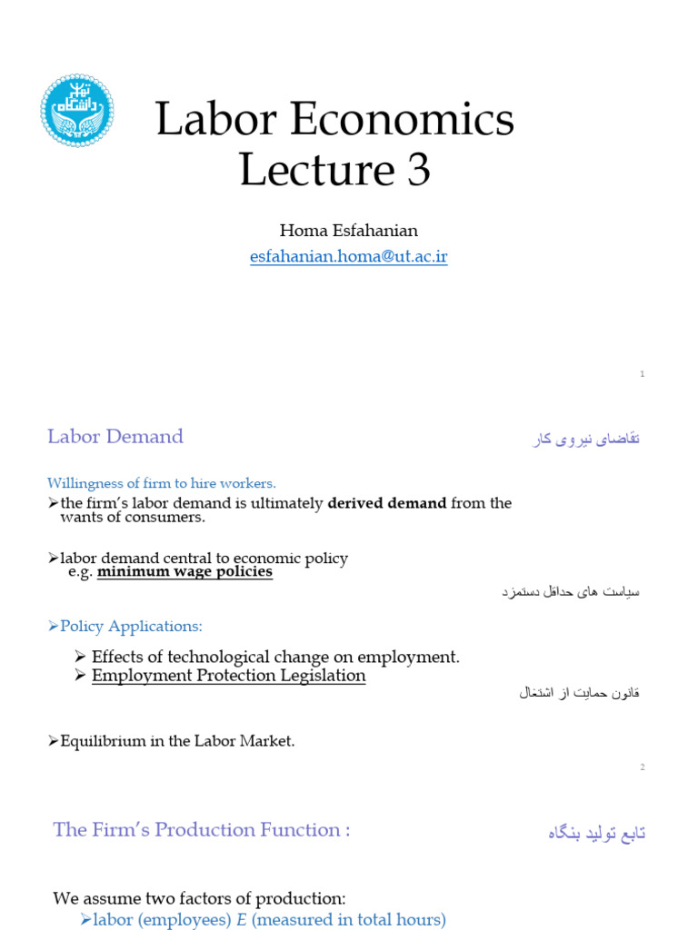 Lec3 Labour | PDF | Labour Economics | Elasticity (Economics)