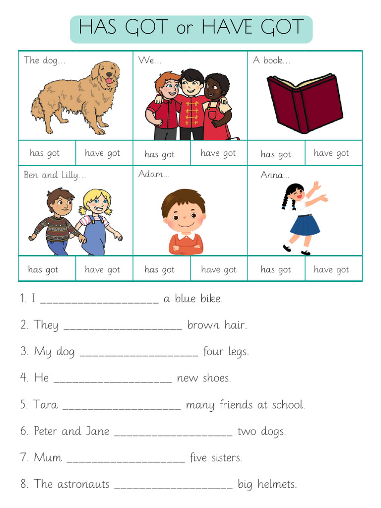 Have and Has Got - Worksheet | PDF