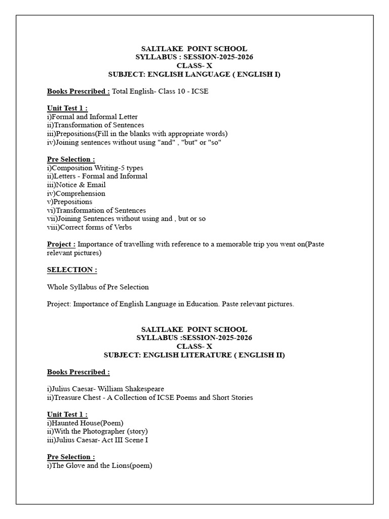 Class X Compiled Syllabus | PDF | Salt (Chemistry) | Chemistry