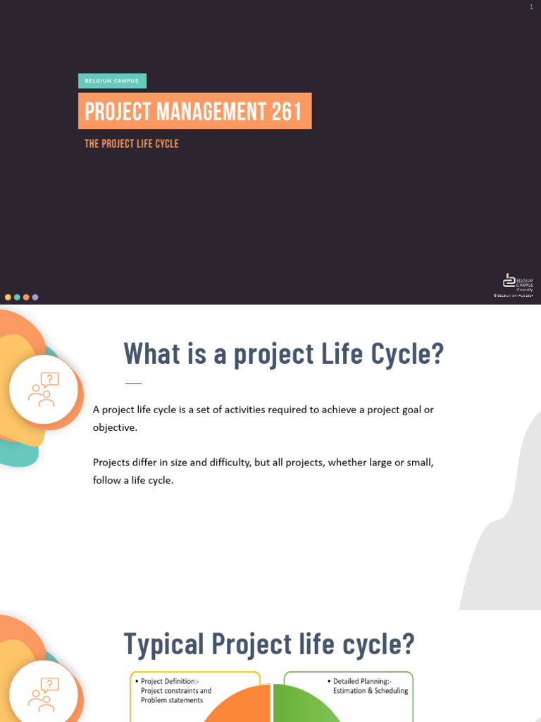 PMM261-2025 - 2 - Project Management Lifecycle | PDF | Project Management | Software Development ...