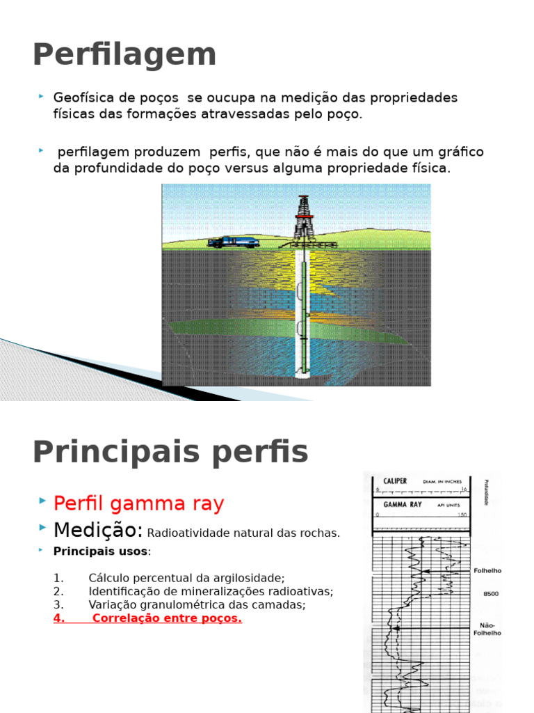 Apresentaçao Perfilagem | PDF