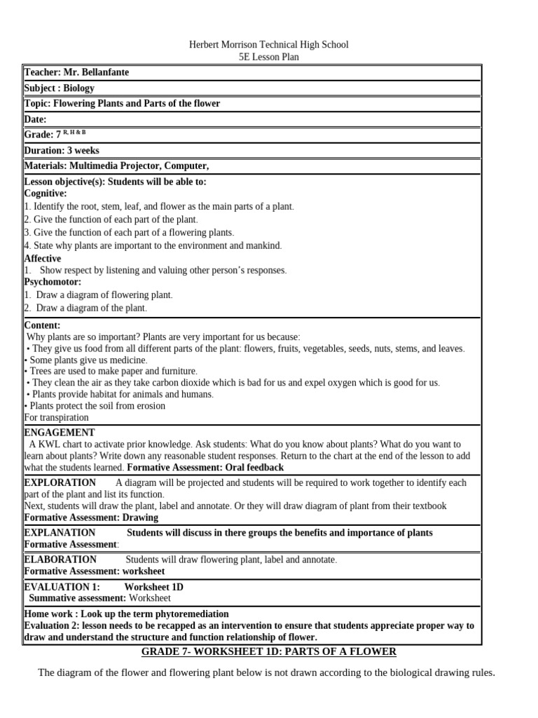 14th Lesson Plan Plants and Parts of Flower | PDF | Plants | Flowers