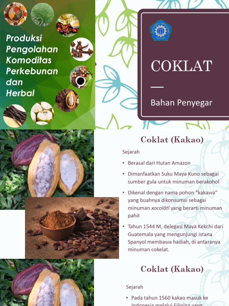 Sejarah dan Proses Pengolahan Coklat | PDF