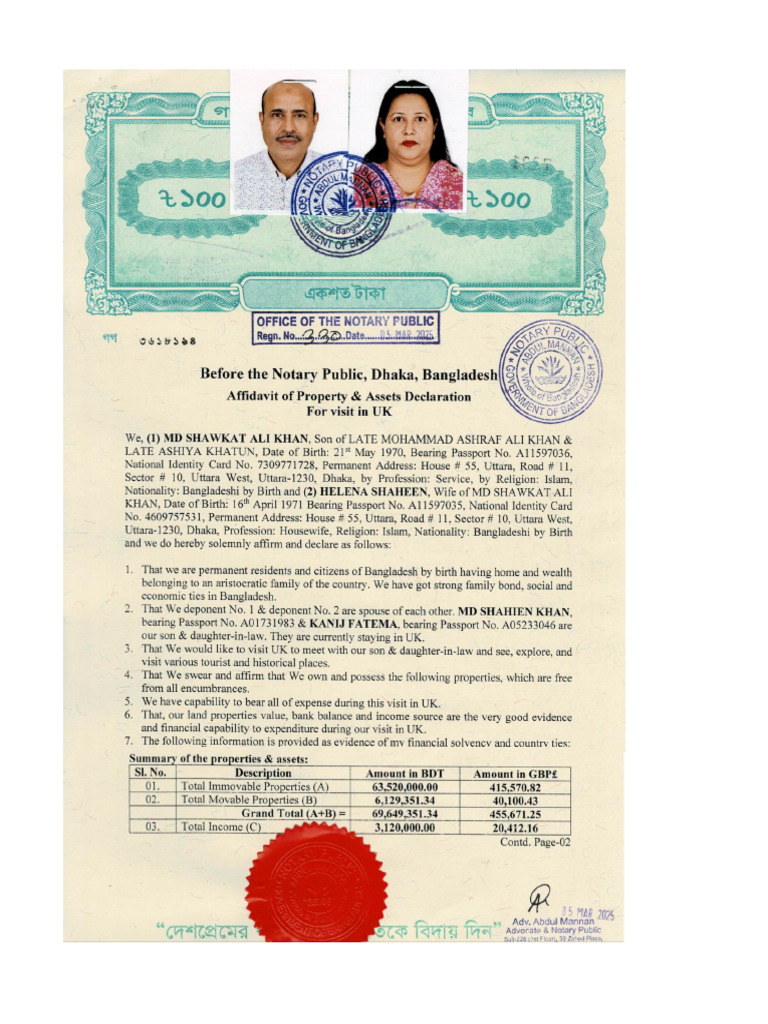 Affidavit of Property and Assets Declaration | PDF