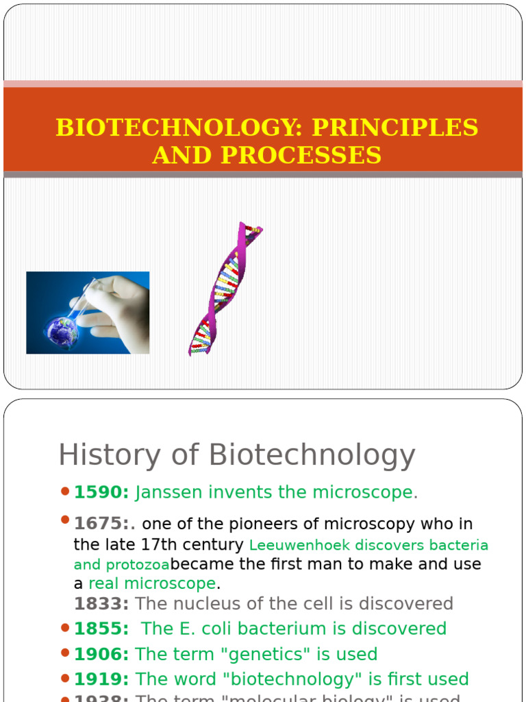 Biotechnology Principles and Processes | PDF | Restriction Enzyme | Plasmid