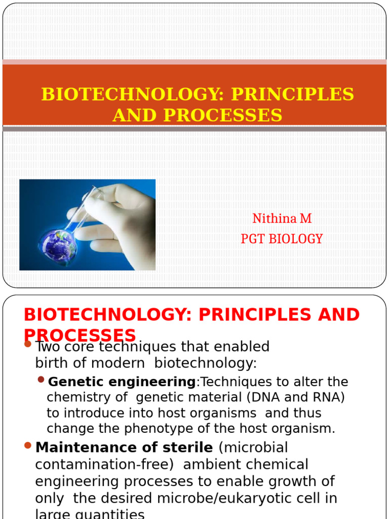 Biotechnology Principles and Processes | PDF | Plasmid | Restriction Enzyme