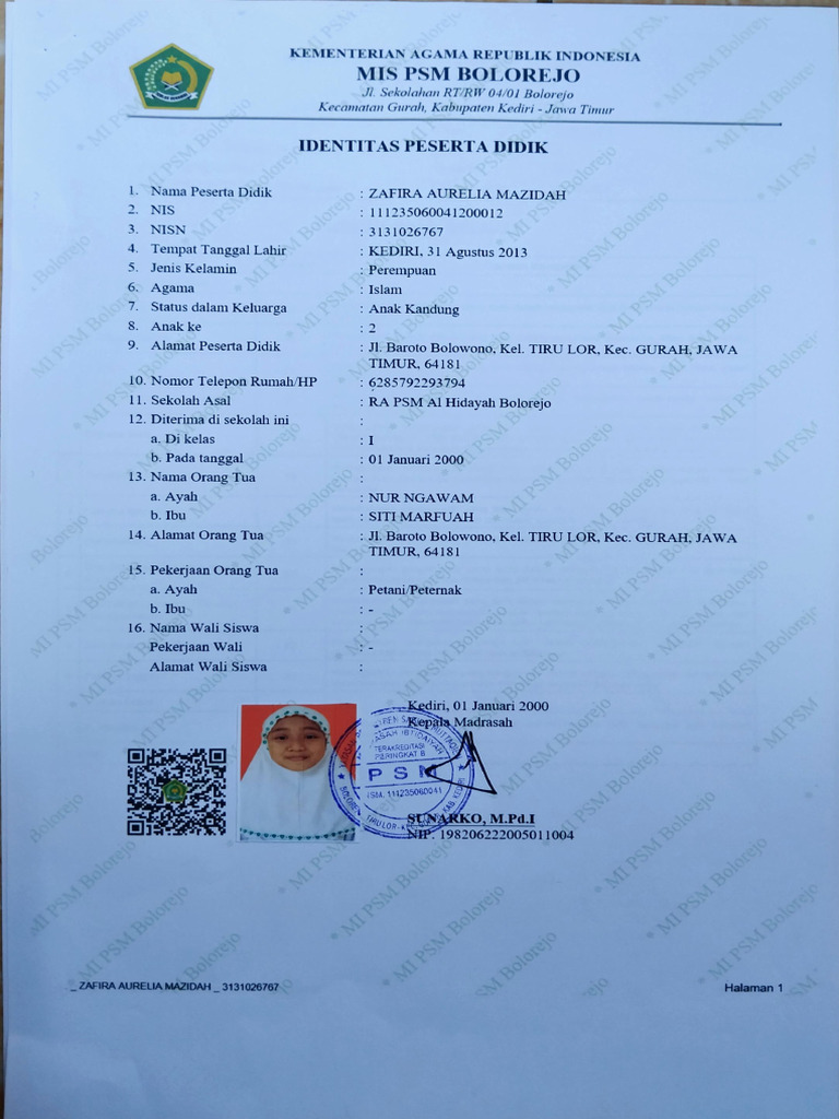 raport identitas zafira | PDF