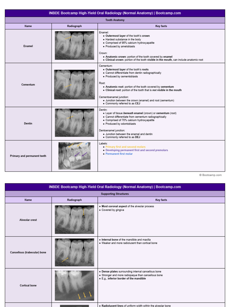 INBDE Oral Radiology (Normal Anatomy) | PDF | Human Tooth | Dental Anatomy