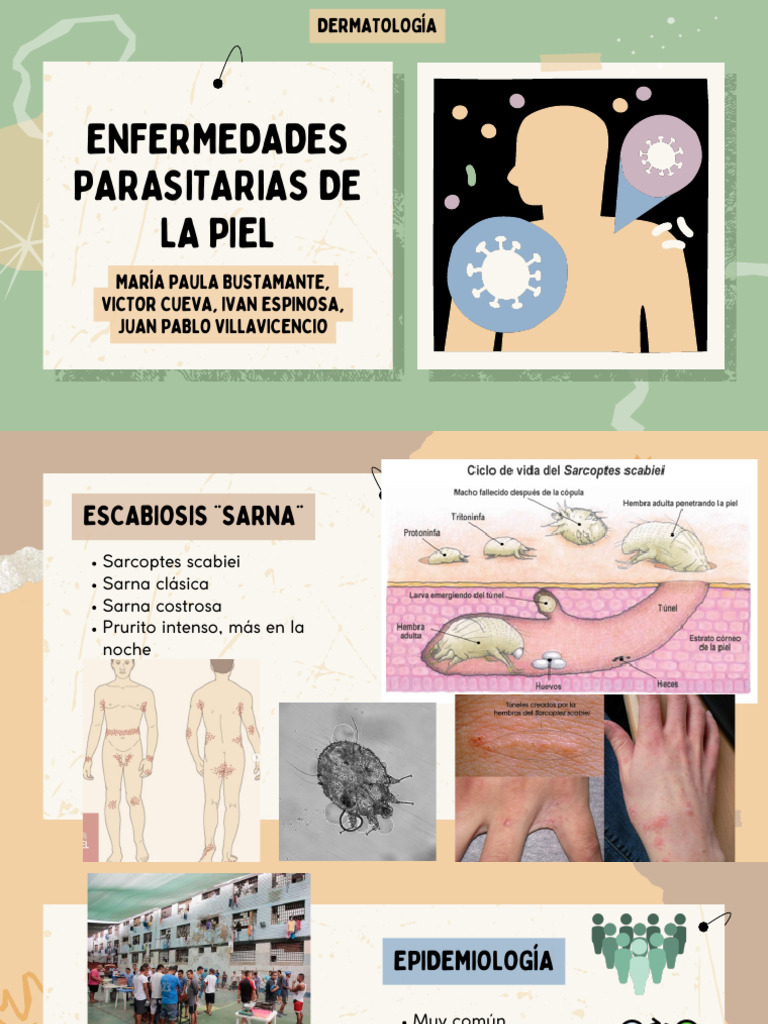 Enfermedades Parasitarias de La Piel | PDF | Especialidades Medicas | Enfermedades y trastornos