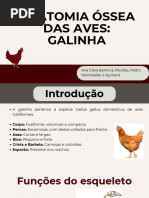 Ficha Enpap-X Enfraquecido | PDF