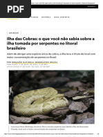 Vombate: Cocô em Forma de Cubo | PDF