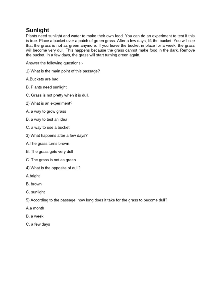 Sunlight Comprehension | PDF