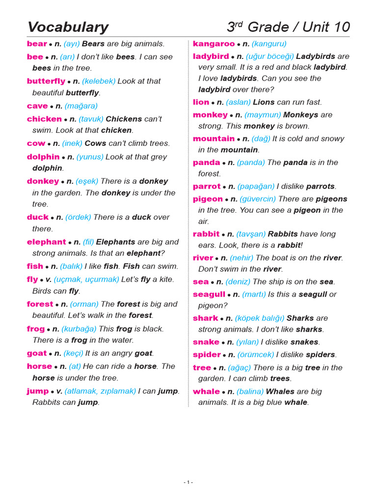 3rd Grade Vocabulary: Animals & Nature | PDF | Zoology | Organisms