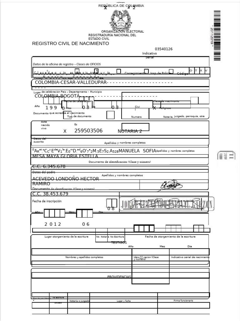 Formato Registro Civil de Nacimiento PDF | PDF | Ley común | Derecho ...