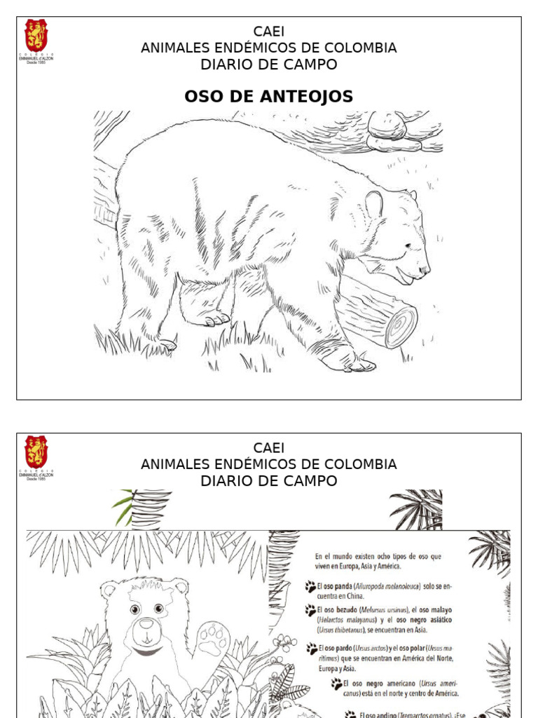 Oso de Anteojos | PDF | Osos | Organismos
