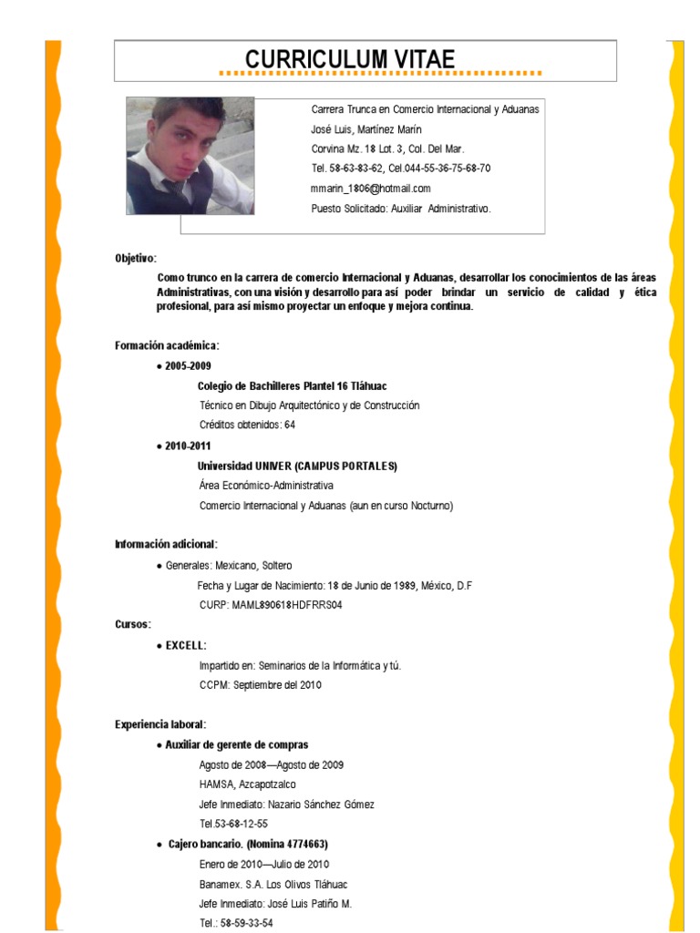 Curriculum Vitae Jose Luis | PDF | Negocios