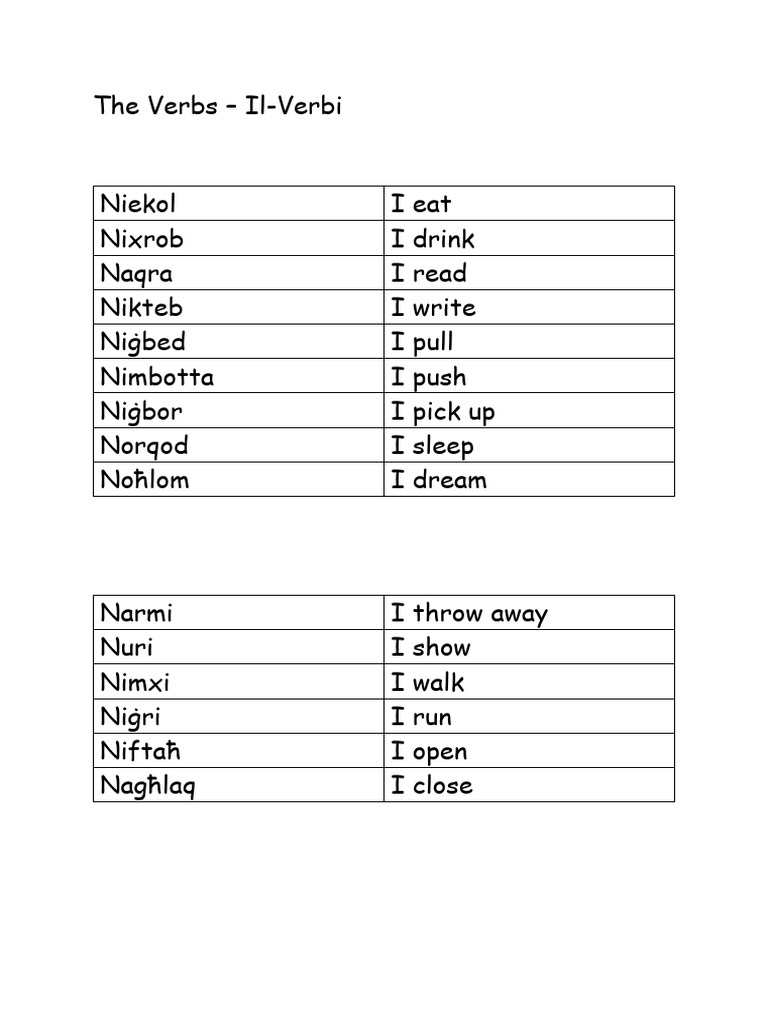 The Verbs - Il-Verbi | PDF