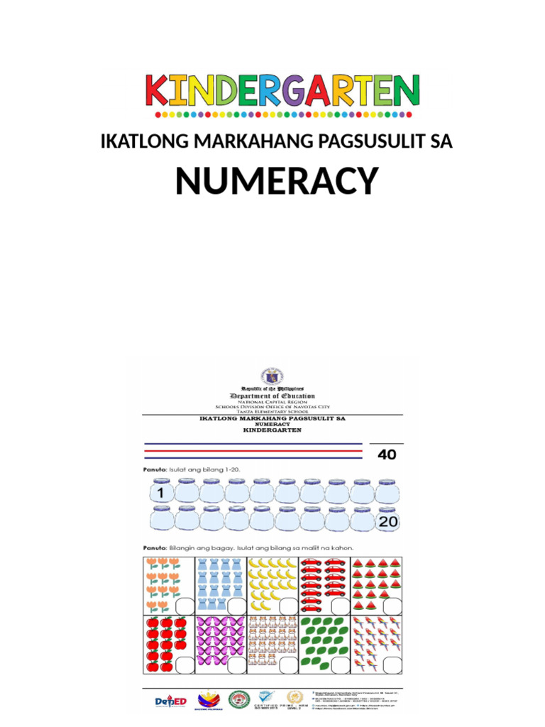 Assessment in Numeracy | PDF