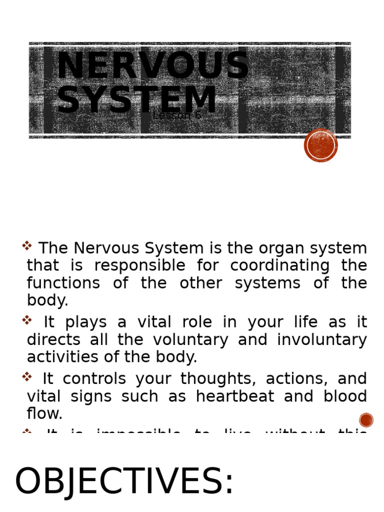 NERVOUS SYSTEM Lesson 6 | PDF | Nervous System | Central Nervous System