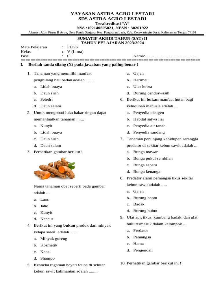 Soal Sat PLKS 2024 | PDF