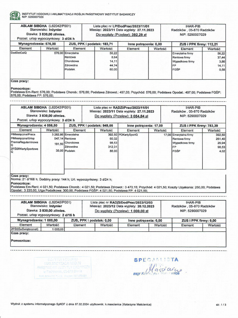 Sibgha Salary Slips | PDF