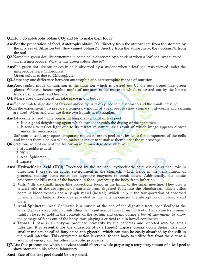 Life Process Assignment Ans | PDF | Urinary System | Kidney