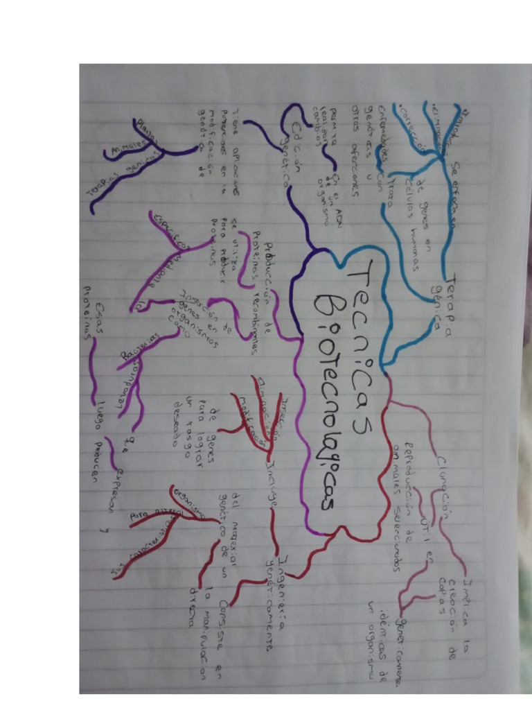 Actividades Propuestas #2 (Informatica) | PDF