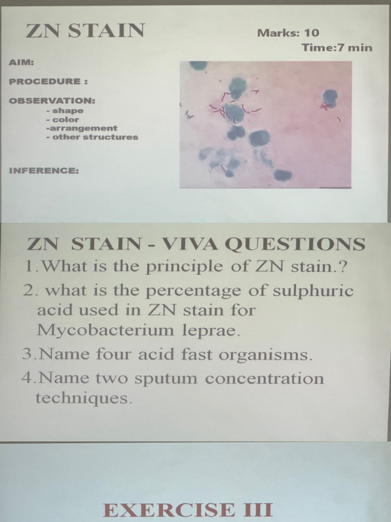 Microbiology Practicals Pdf