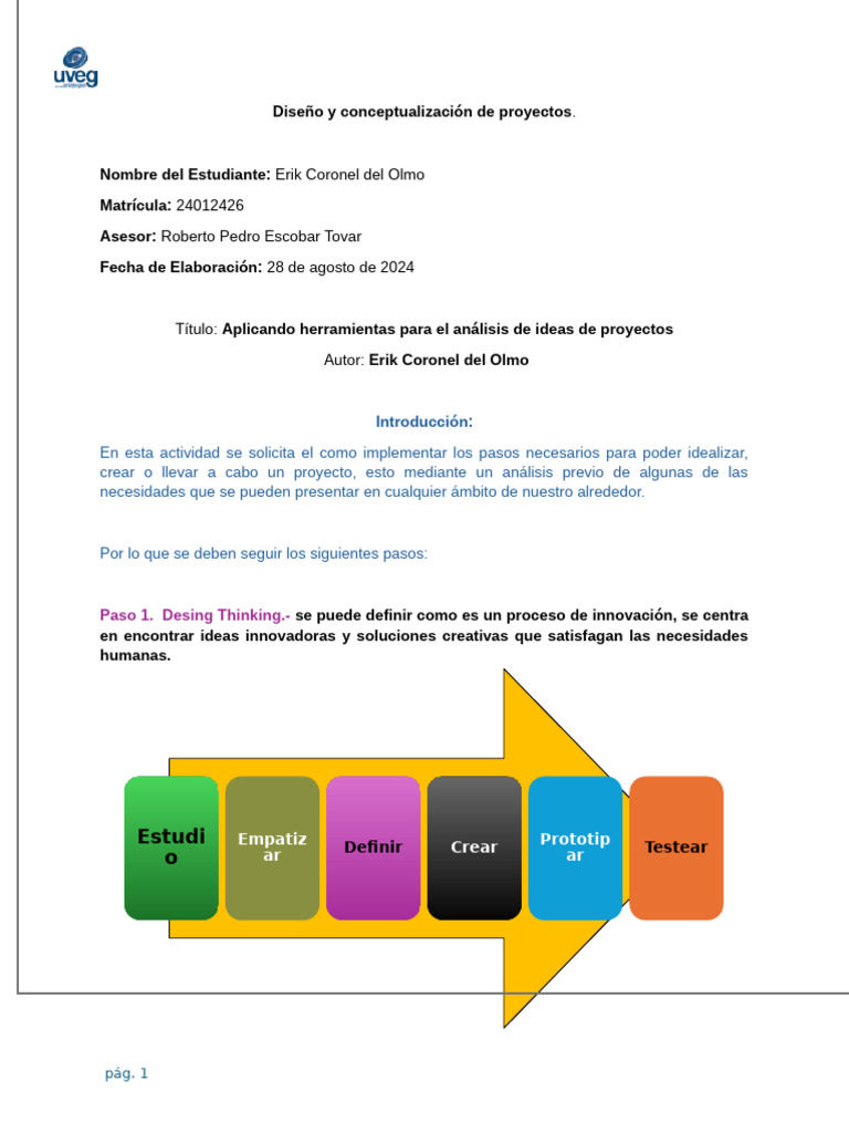 Coronel_Erik_EA1_U1_Rev01 | PDF