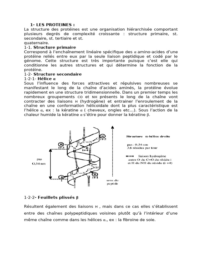Structure des Protéines : Niveaux et Types | PDF | Structure de la ...