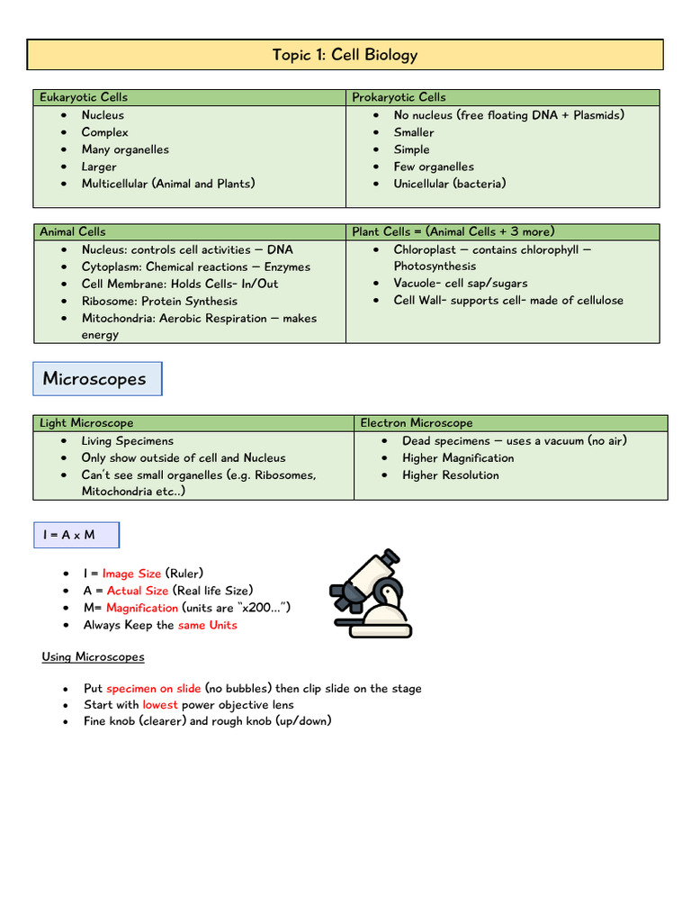 ExamQA AQA Triple Science Biology Topic 1 Notes | PDF | Cell (Biology ...