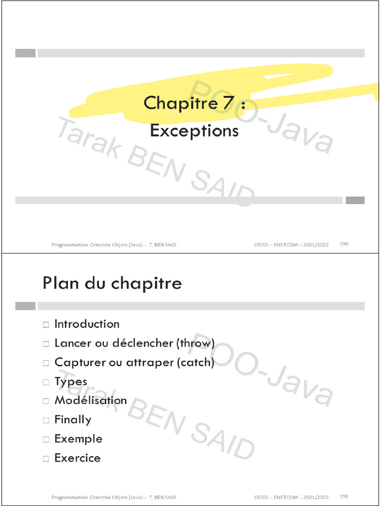 597 - Poo Java - Chapitre7 | PDF