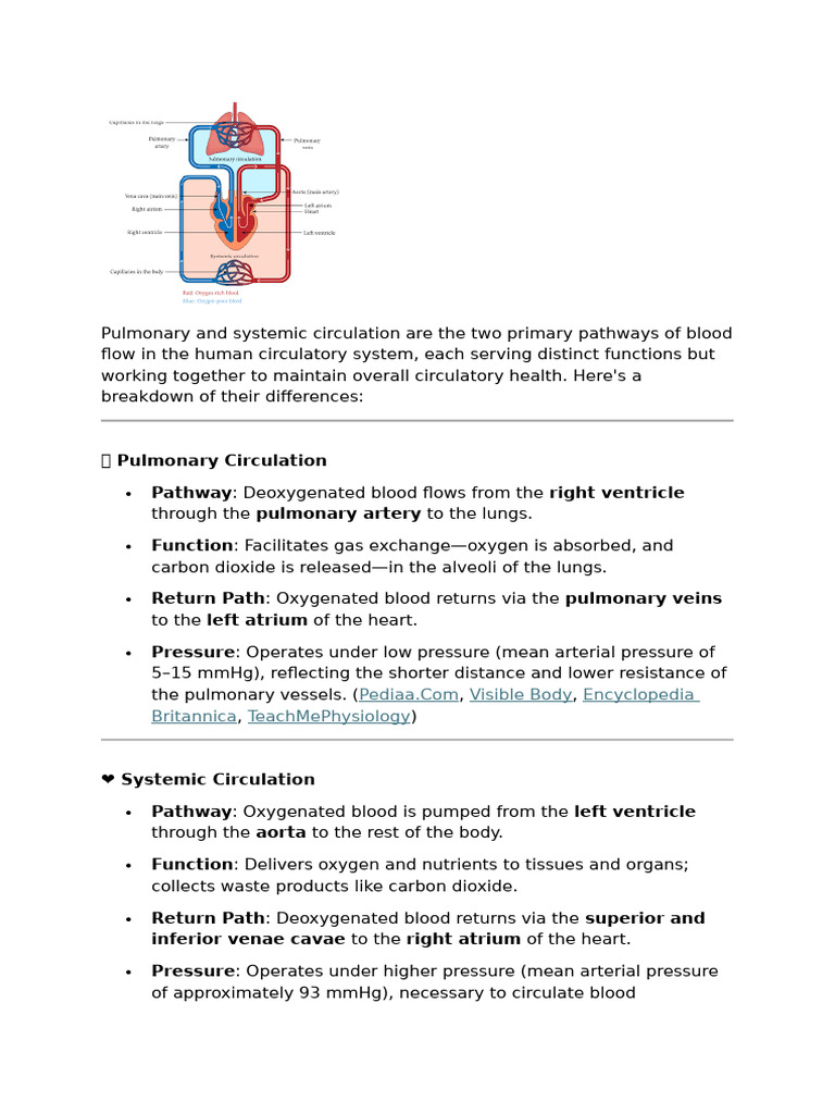 Pulmonary and Systemic Circulation Are The Two Primary Pathways of ...