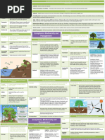 Lesson 10: Forest Ecosystem Overview | PDF | Trees | Rainforest