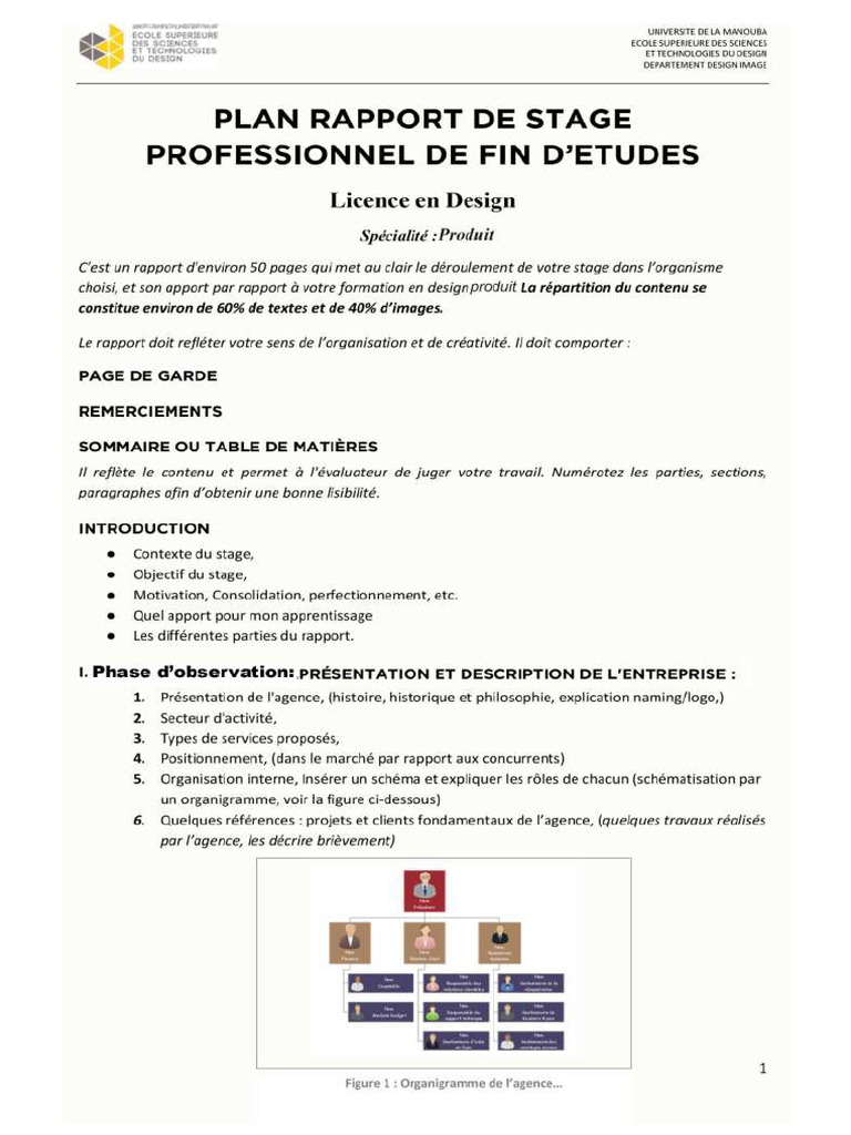Plan Rapport de Stage | PDF