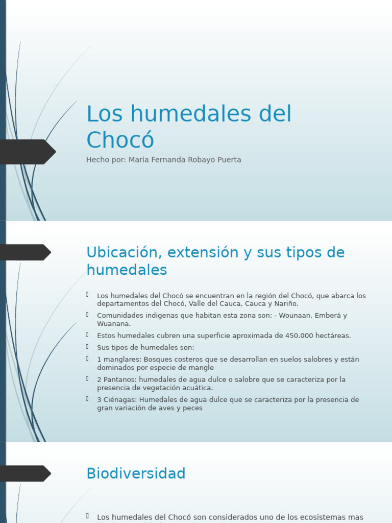 Los Humedales Del Chocó | PDF | Humedal | Deforestación