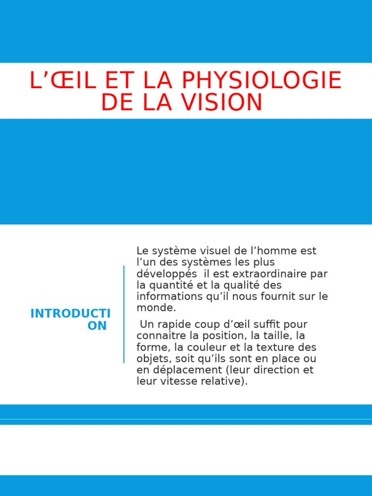 Vision | PDF | Œil humain | Rétine
