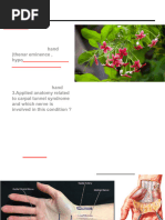 Palmar Hand Anatomy Overview | PDF | Hand | Musculoskeletal System