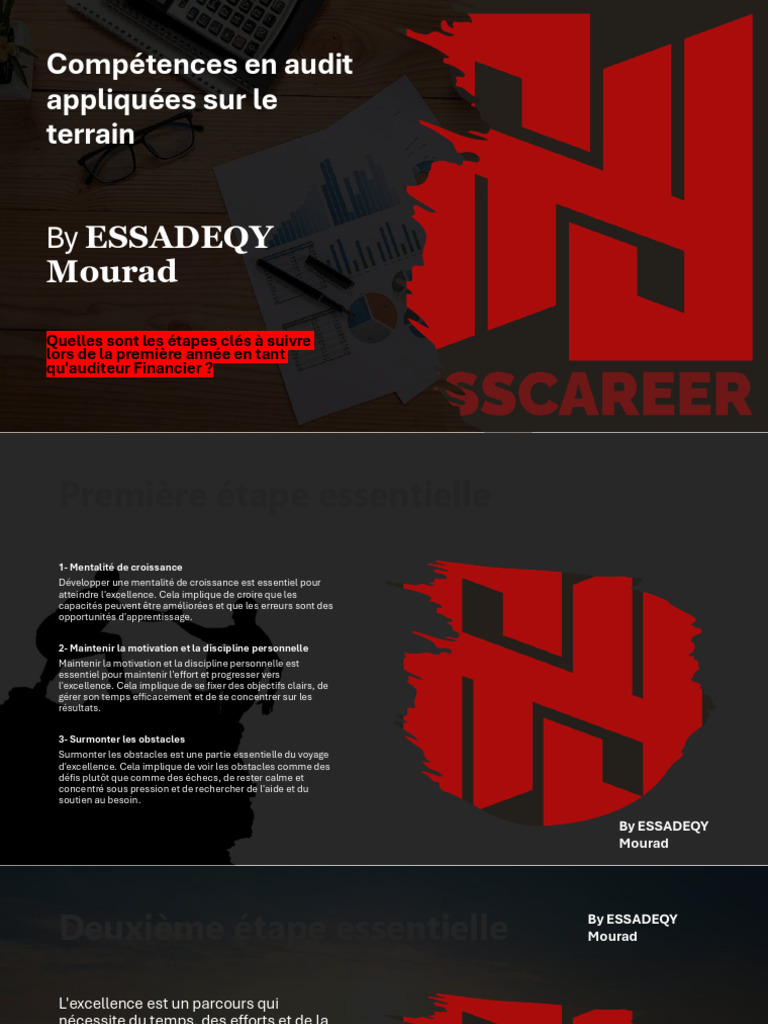 Auditing Career Management | PDF | Audit | Mentorat