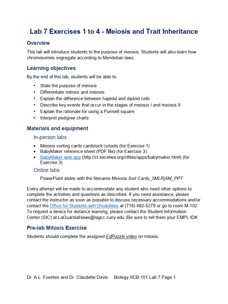 Lab 7 Meiosis and Trait Inheritance PDF Web | PDF | Meiosis | Ploidy