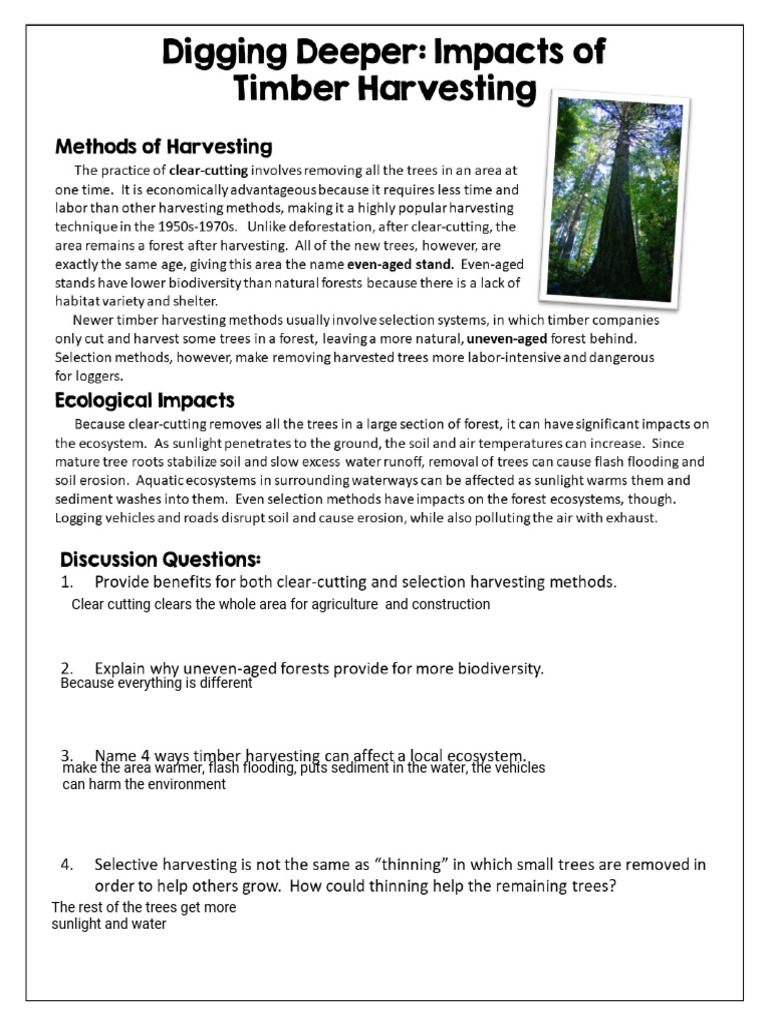 Digging Deeper - Impacts of Timber Harvesting | PDF