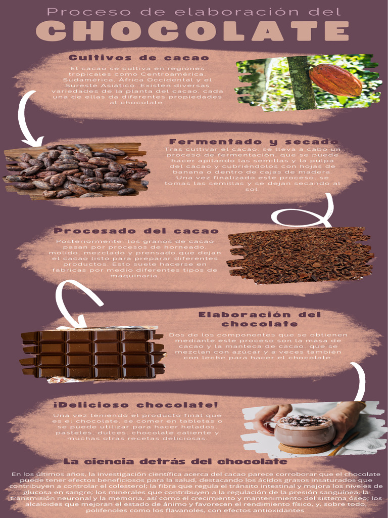 Infografía Proceso de elaboración del chocolate · 7 de julio · día ...