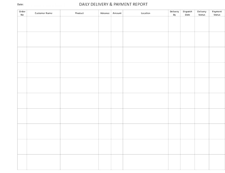 Daily Delivery & Payment Report | PDF