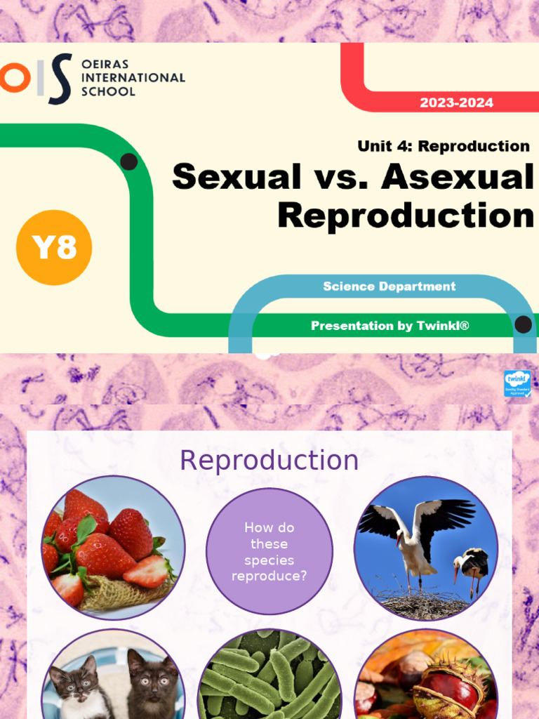 1.2 PPT OIS Y8U5 Twinkl Sexual - Vs.asexual Reproduction | PDF | Sexual ...
