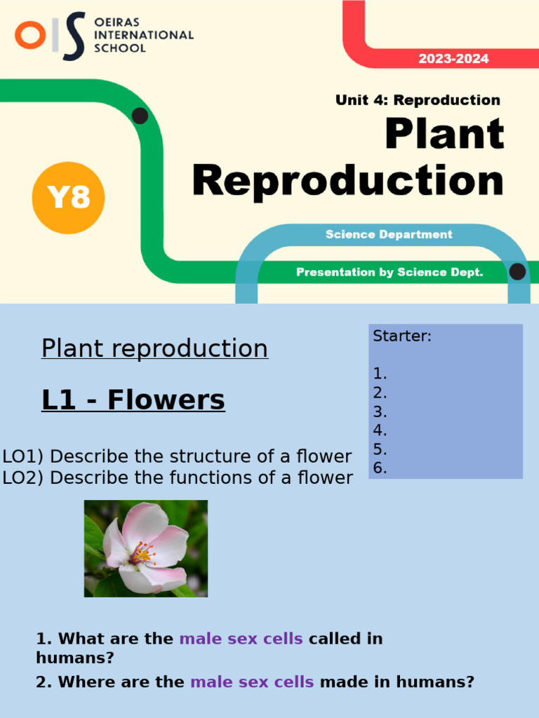 3.1 PPT OIS Y8U5 Plant Reproduction | PDF | Flowers | Pollination