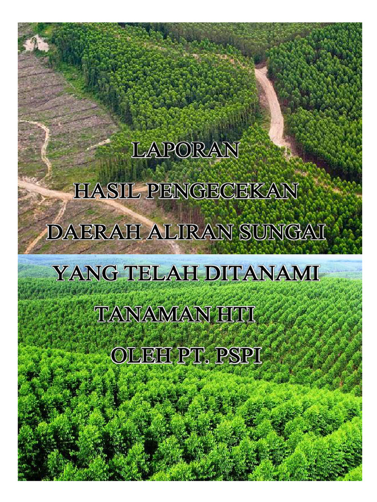 Laporan Hasil Pengecekan DAS | PDF