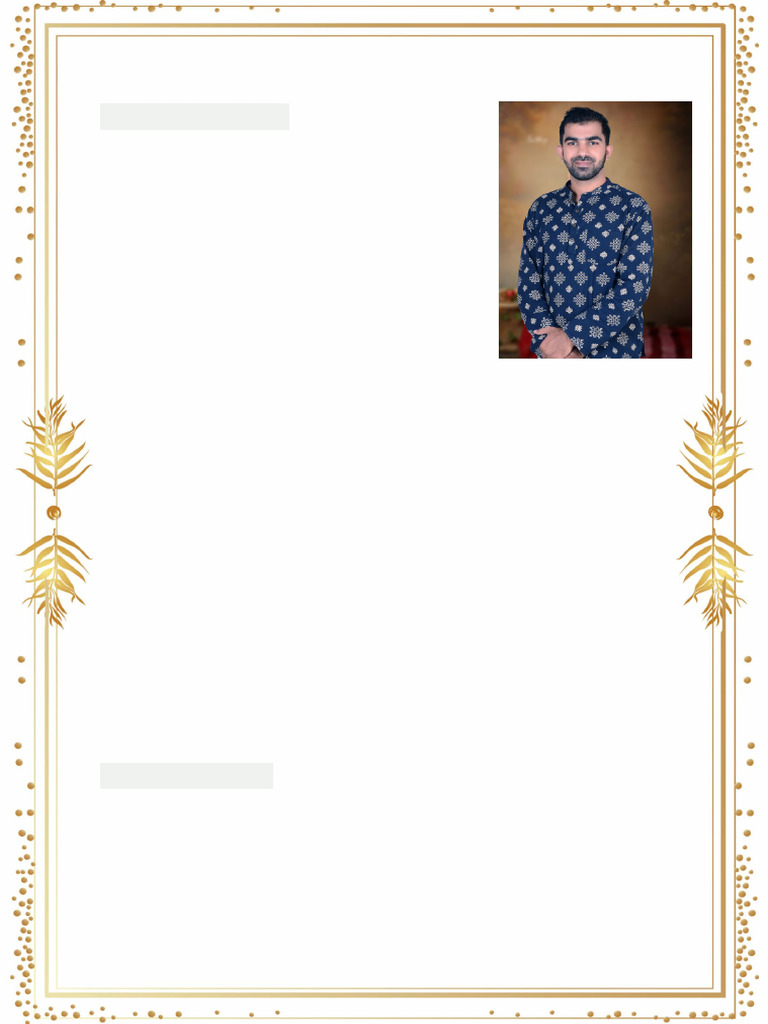 Chirag Biodata-3 | PDF