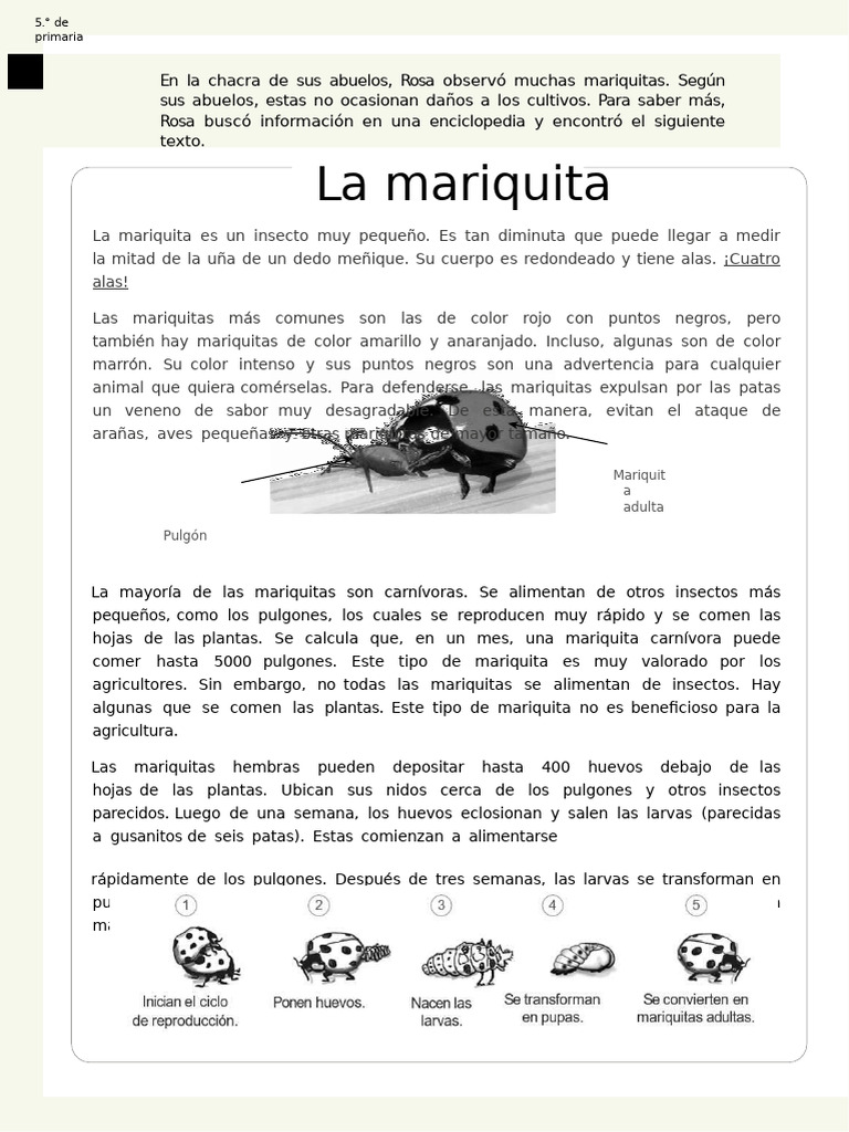 Prueba Diagnóstica Lectura, Comprensión de Textos Oralizados. 5 Grado de Primaria | PDF ...