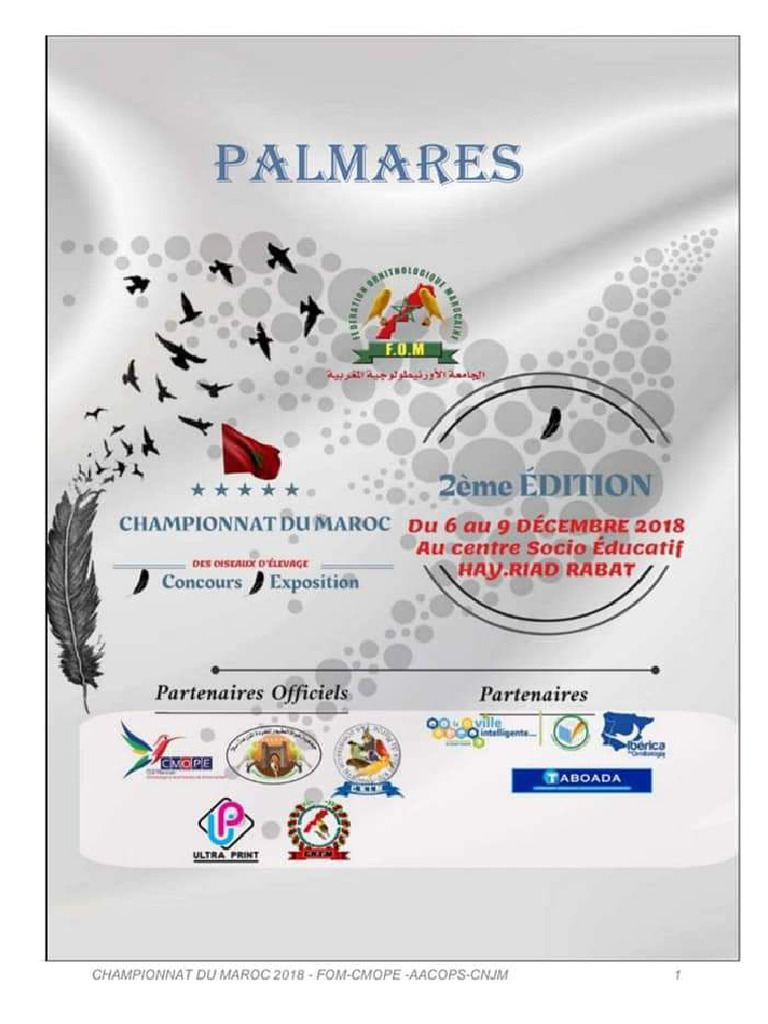 Palmares Nati 2019 | PDF