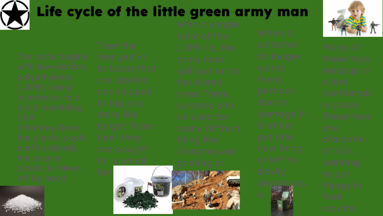Life Cycle of Little Green Army Men | PDF
